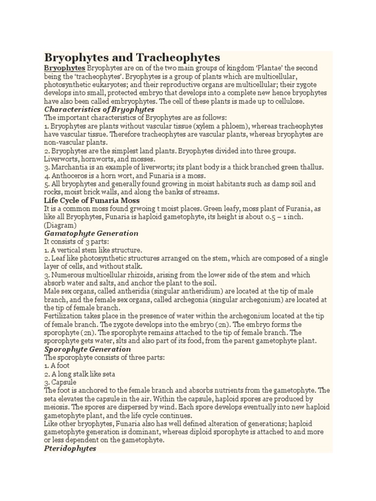 Bryophytes and Tracheophytes | PDF | Seed | Plants
