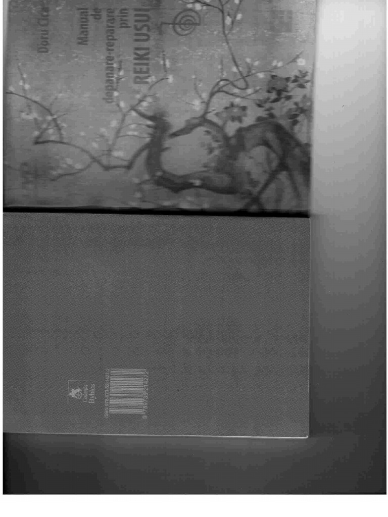 Doru Cica Manual Reparare-Depanare PDF | PDF