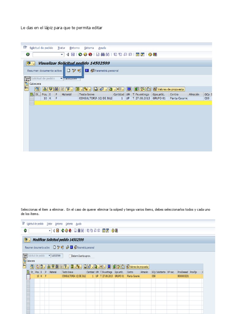 Instructivo Eliminar Solped | PDF