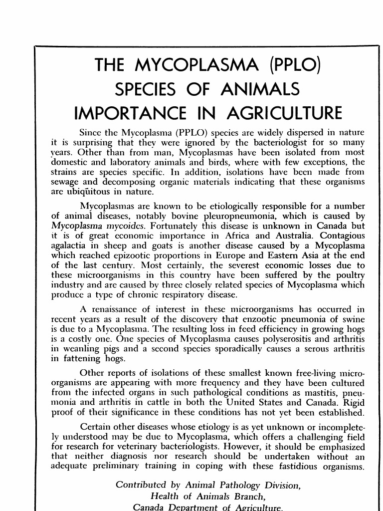 THE Mycoplasma (Pplo) Species of Animals Importance in Agriculture ...