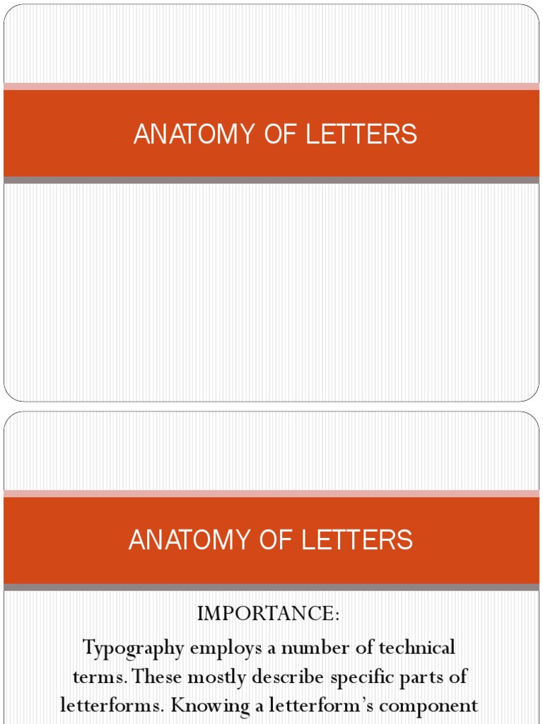 Anatomy of Letters | PDF | Typefaces | Letter Case