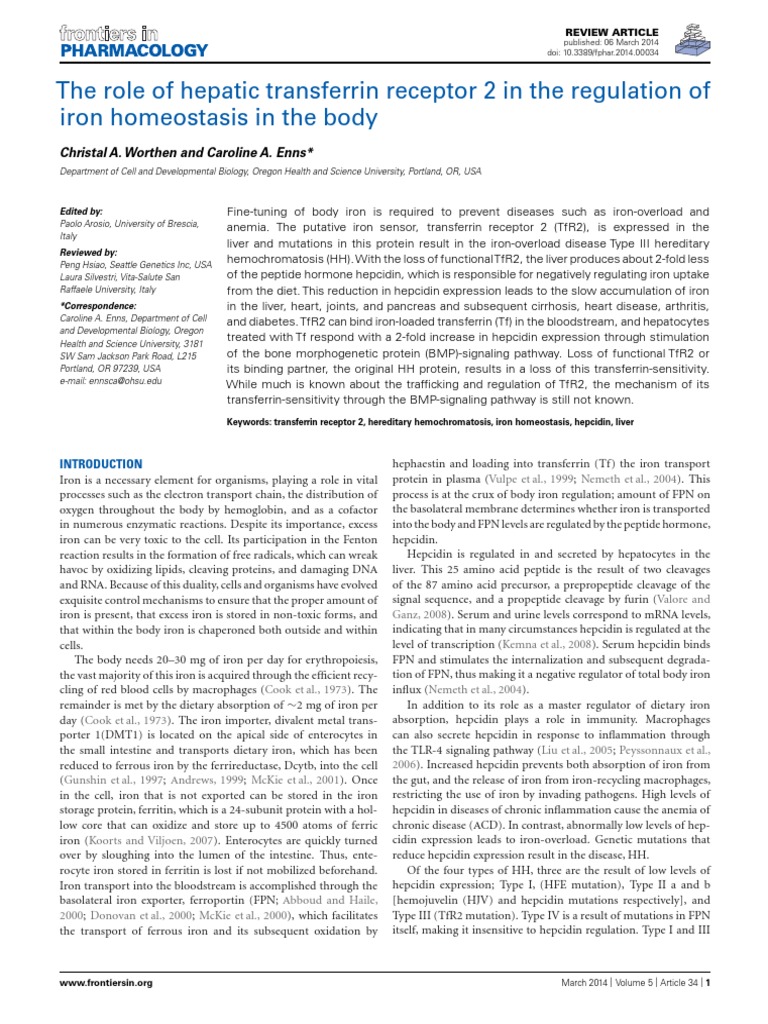 The Role of Hepatic Transferrin Receptor 2 in The Regulation of Iron ...