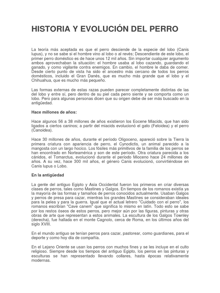 Historia y evolución del perro | PDF | Perros | Boxer (Perro)