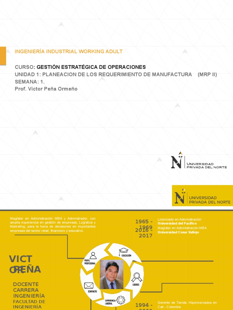 UPN-GEO - WA-sem-1 | PDF | Planificación | Demanda