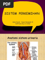Pemahaman Tractus Urinaria dan Fisiologinya | PDF
