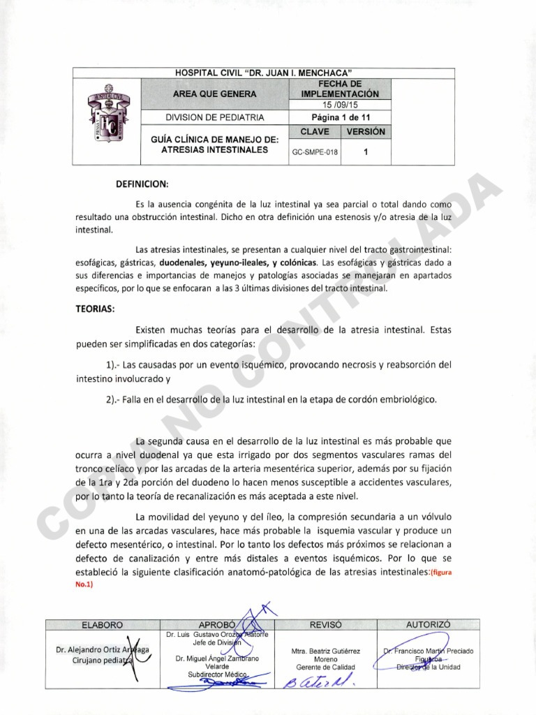 Guía Clínica: Manejo de Atresias Intestinales | PDF | Tracto ...