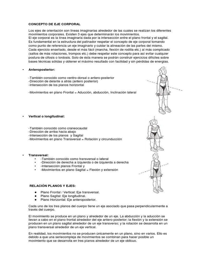 Concepto de Eje Corporal | Términos anatómicos de movimiento | Anatomía ...
