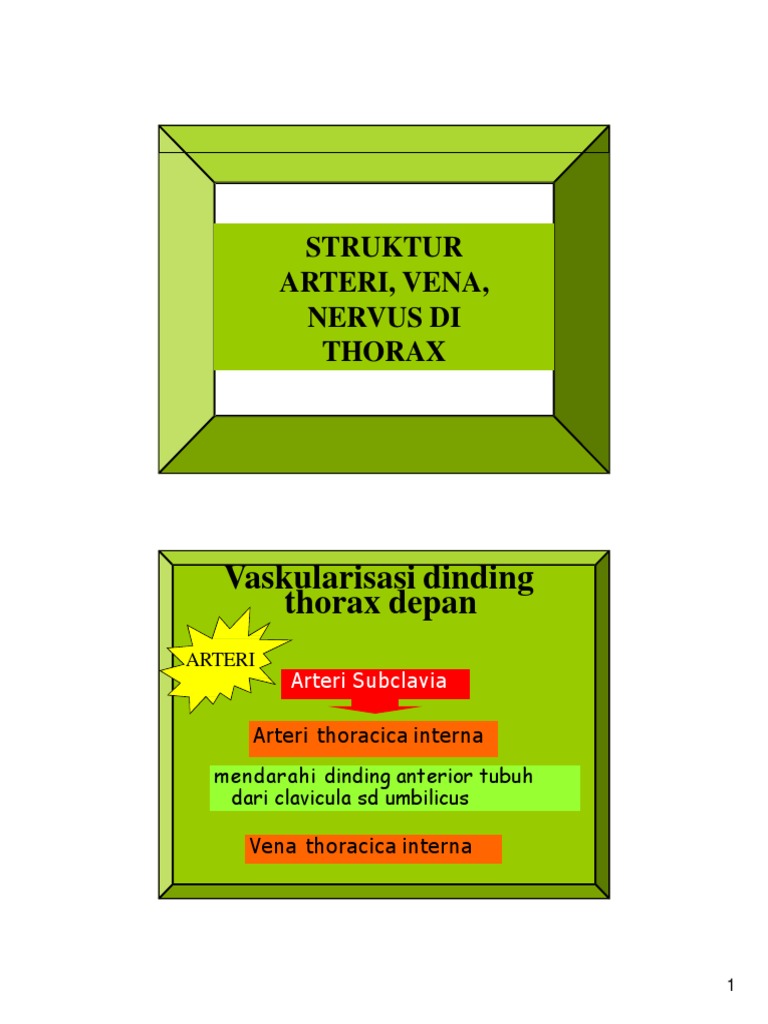 Vaskularisasi Thorax | PDF