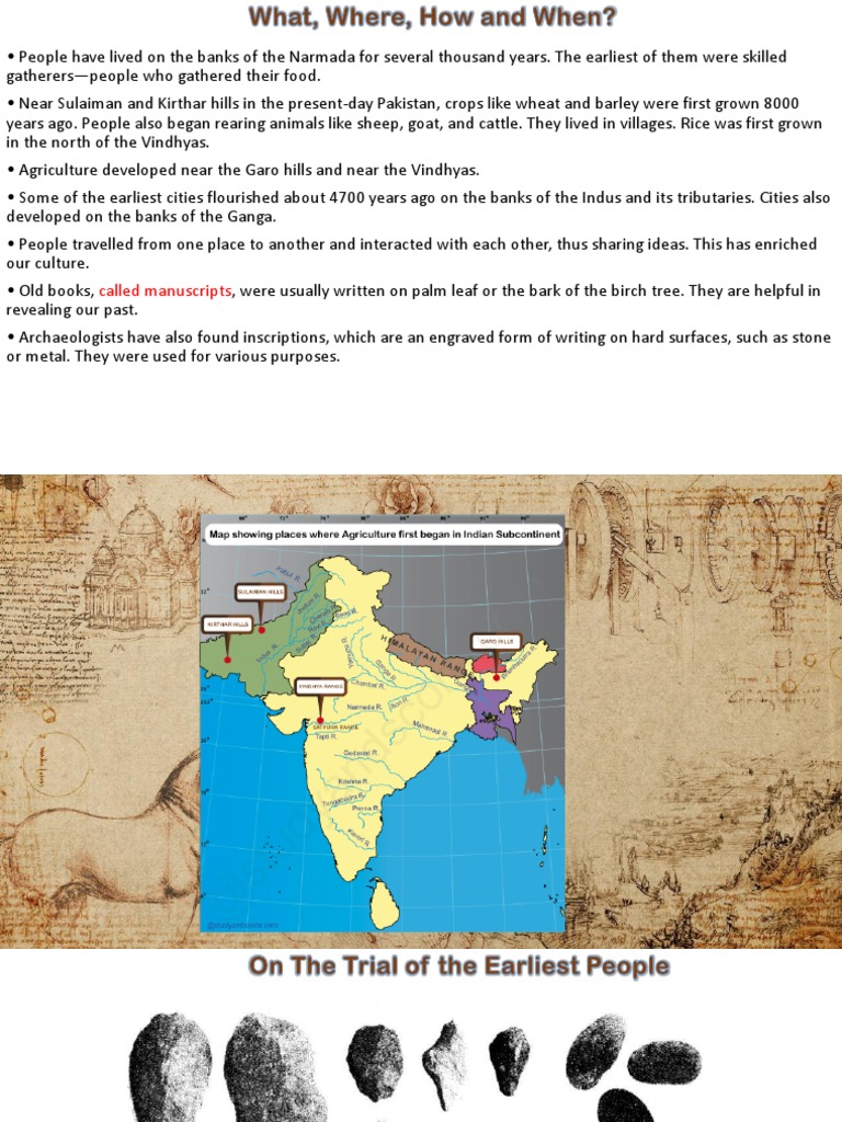 The Development of Early Human Civilizations in South Asia | PDF ...