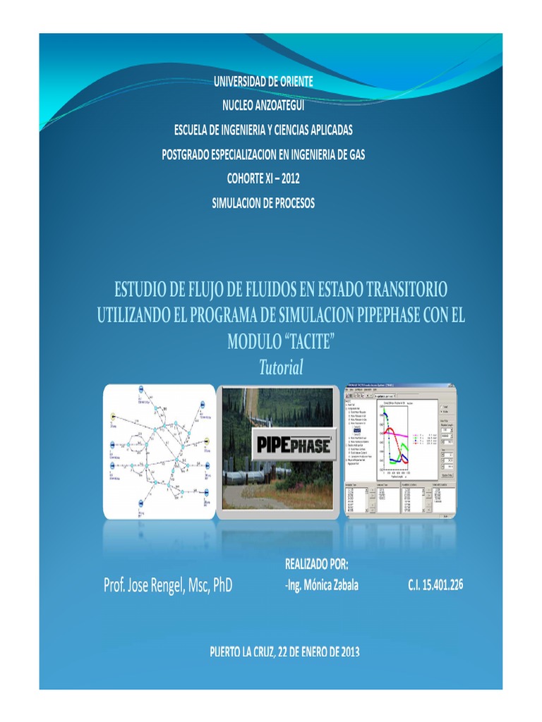 Pipephase Tutorial | PDF | Point and Click | Simulación