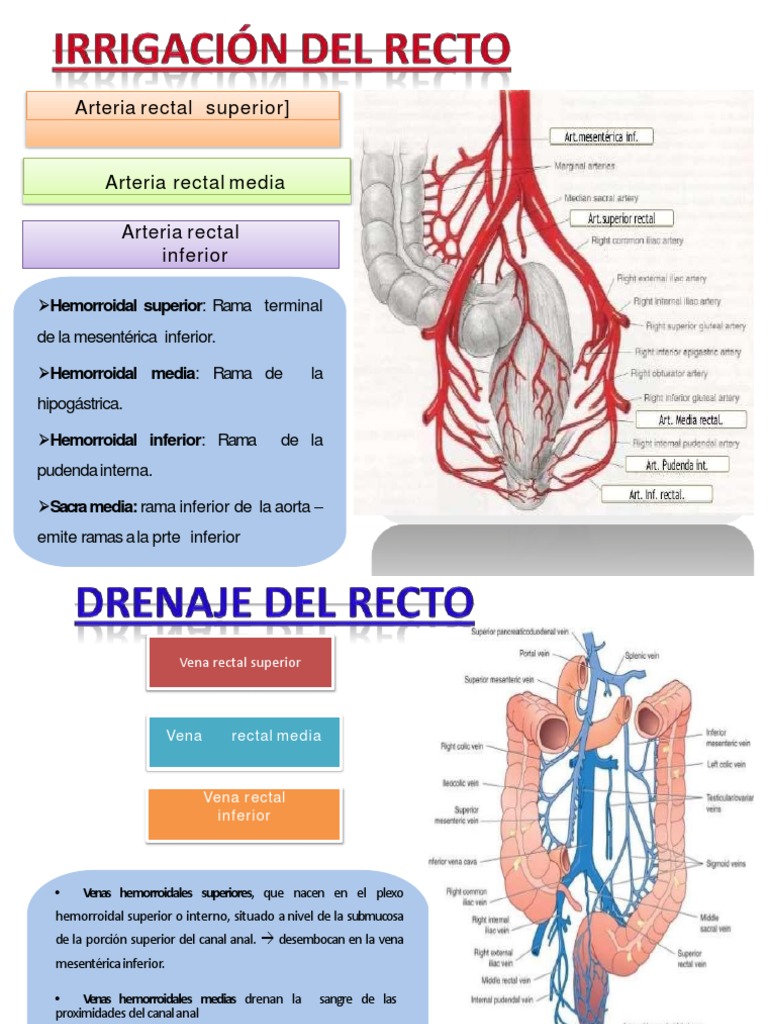 Irrigacion Del Recto | PDF