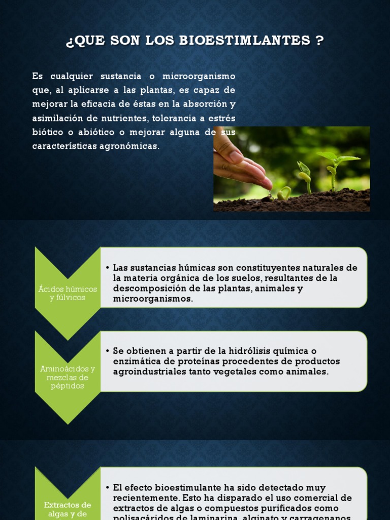 Bioestimulantes Microbianos en Cultivos | PDF | Las bacterias | Plantas