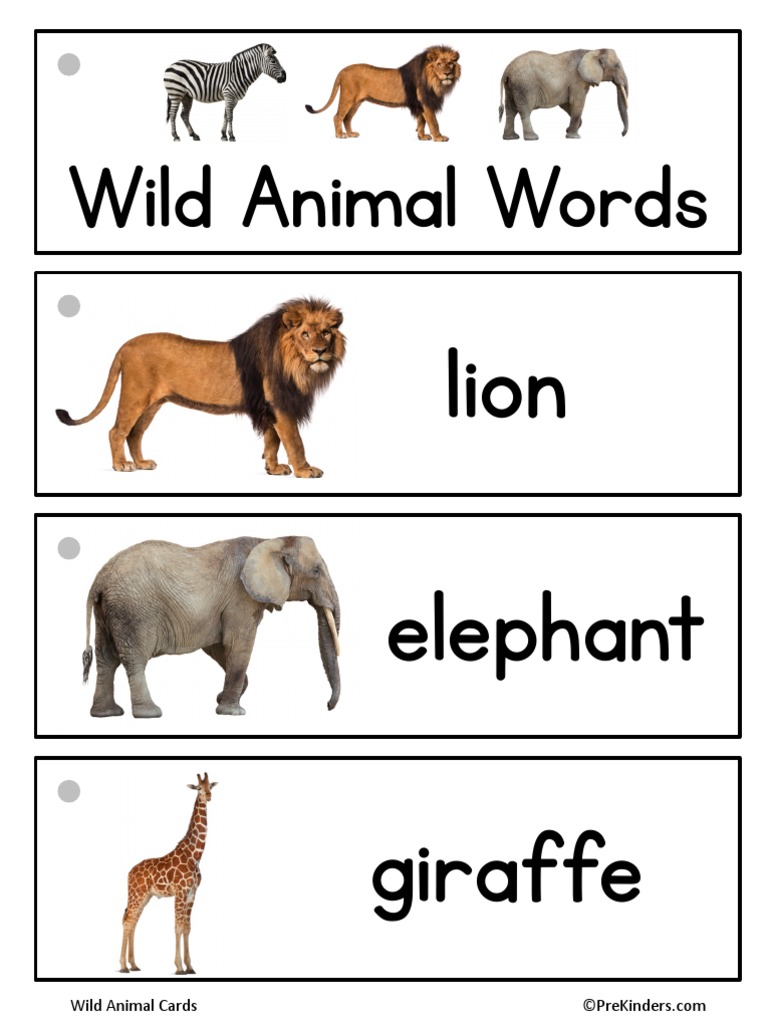 Wild Animal Flashcards for Kids | PDF
