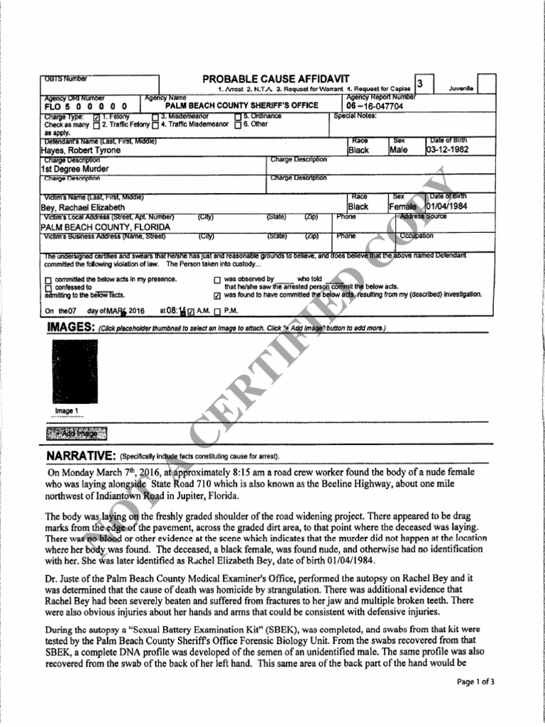 Robert Hayes Probable Cause Affidavit | PDF