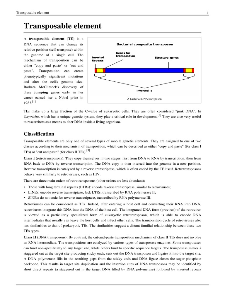 Transposones | PDF | Transposable Element | Retrovirus