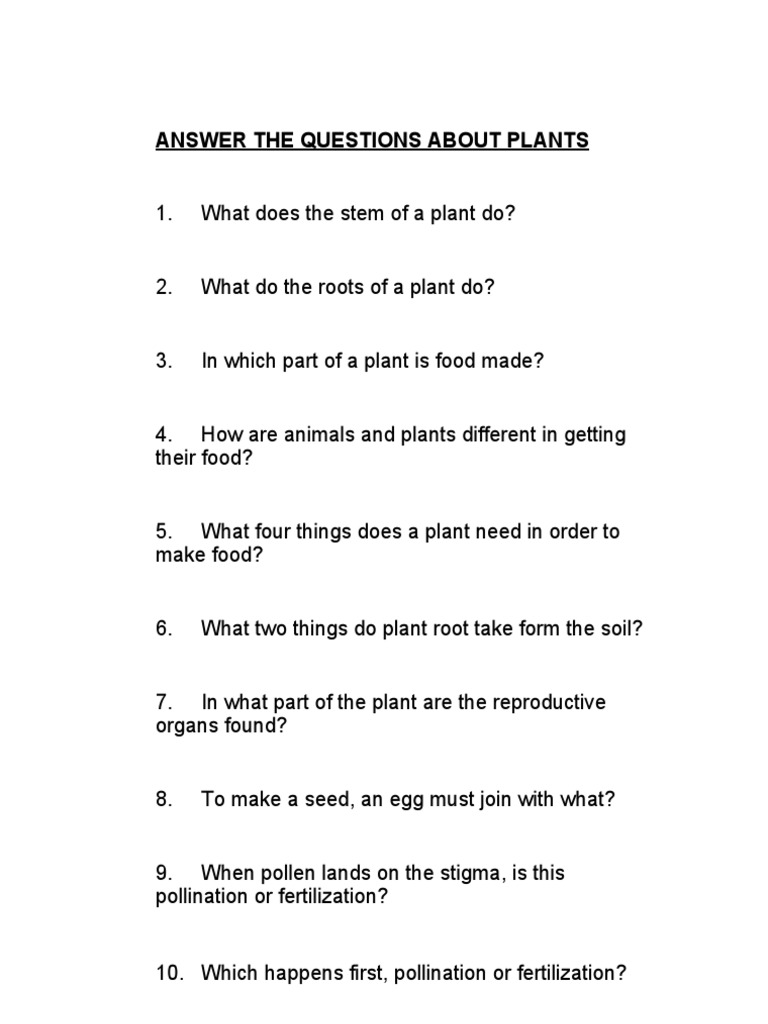 Answer The Question About Plants | PDF