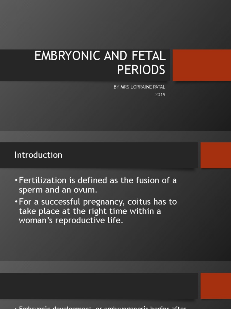 Embryonic and Fetal Periods | PDF | Implantation (Human Embryo) | Pregnancy