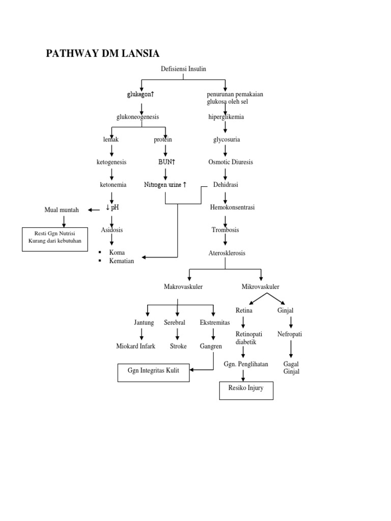 Pathway DM Lansia | PDF