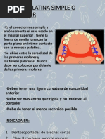 La Línea de Fulcro | PDF | Dentadura postiza | Naturaleza