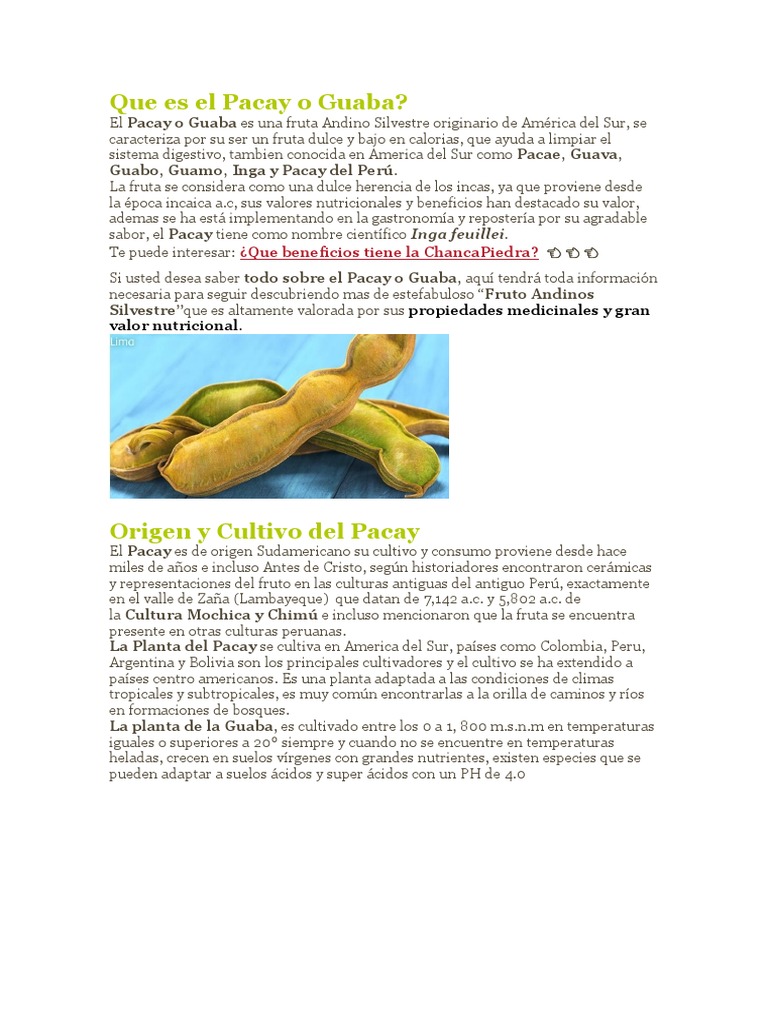 Que Es El Pacay o Guaba?: Guabo, Guamo, Inga y Pacay Del Perú | PDF ...