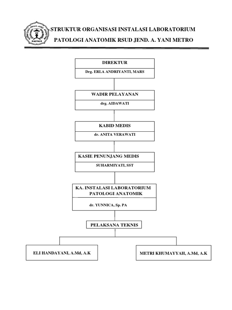 Struktur Organisasi Laboratorium Pa | PDF