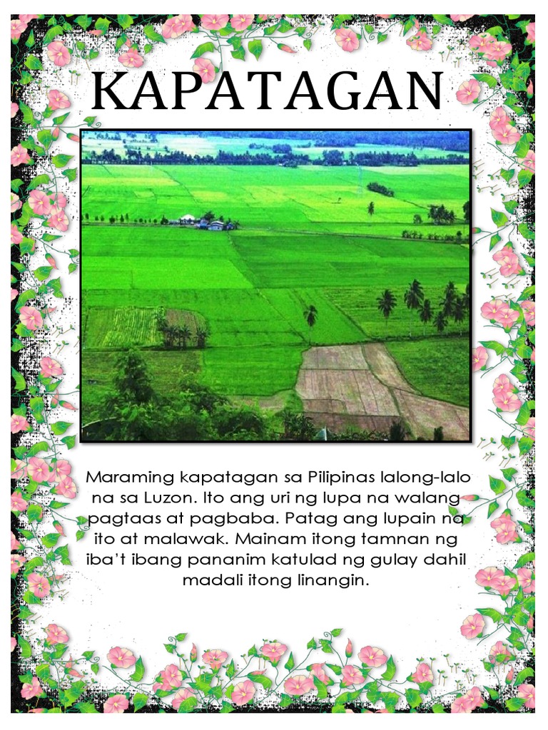 Mga Anyong Lupa | PDF