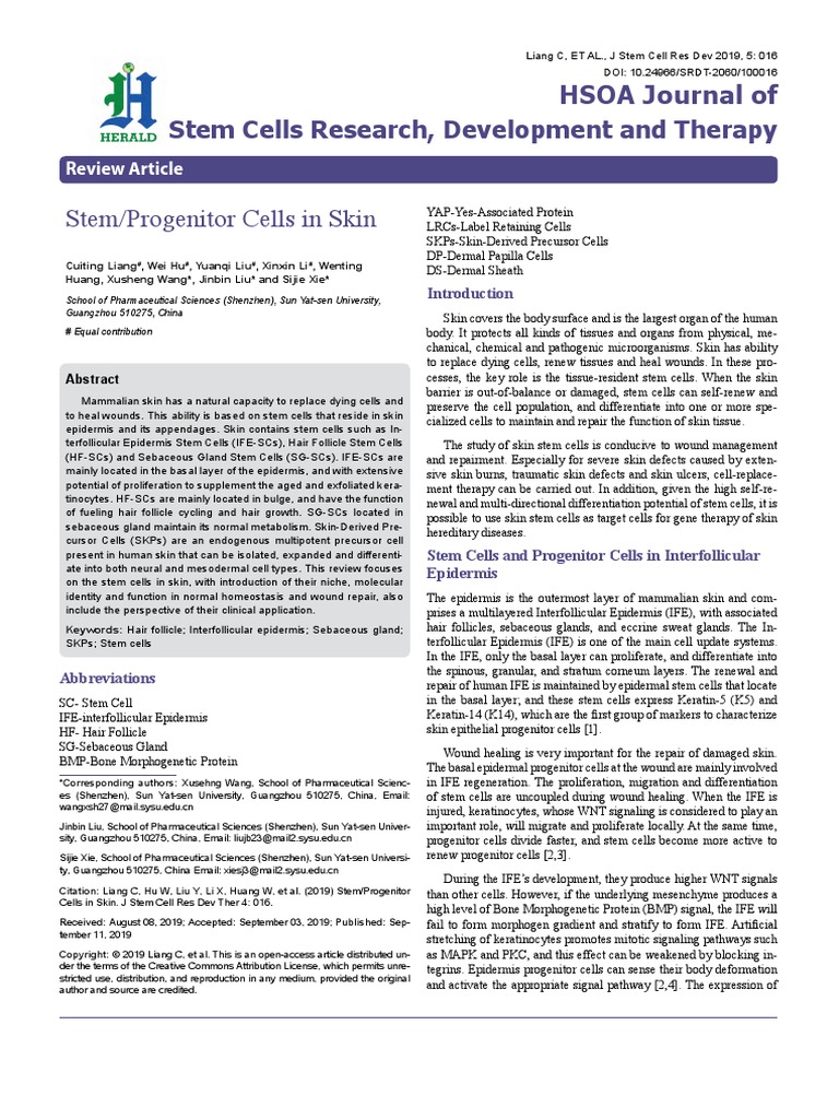Stem Progenitor Cells in Skin | PDF | Skin | Cellular Differentiation