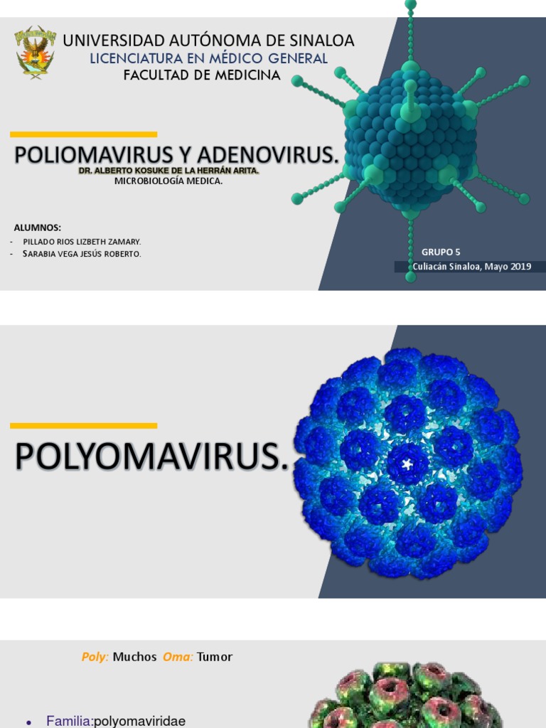 Adenovirus | PDF | Adenoviridae | Virus