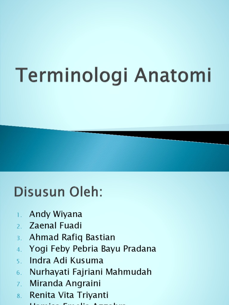 Terminologi Anatomi | PDF