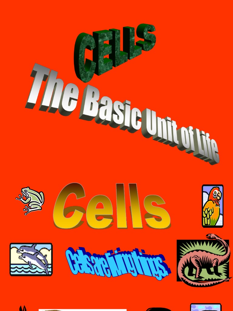 Cells The Basic Unit of Life | PDF | Cell (Biology) | Plants