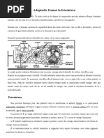 Componentele Unitatii Centrale | PDF