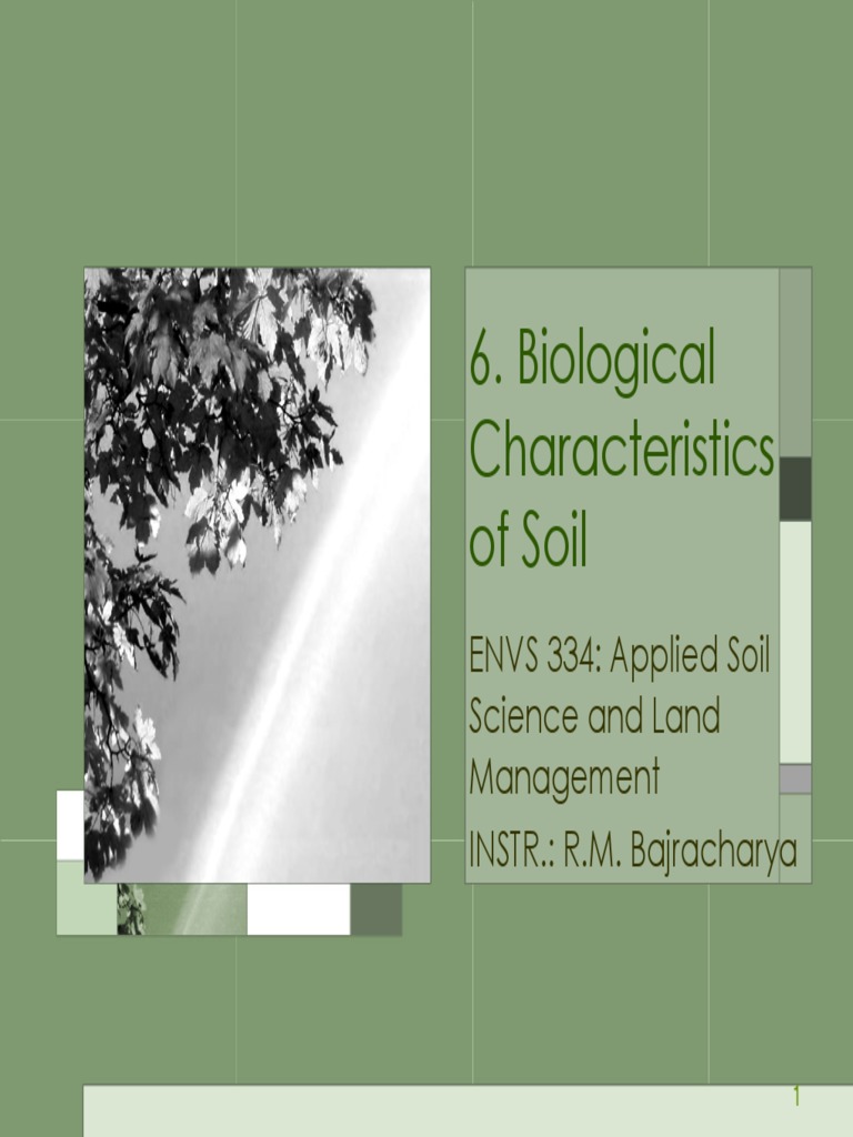 Biological Properties of Soil | PDF | Decomposition | Soil