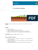 Proyecto-Señor Cabeza de Pasto | PDF