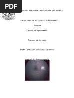Embriologia y Anatomia Del Angulo Camerular | PDF | Músculo | Glaucoma