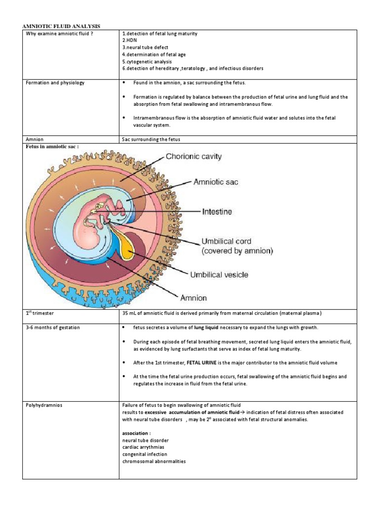 Amniotic Fluid Analysis Overview | PDF | Fetus | Maternal Health