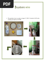 San Francisco or Croton Plant Cultivar and Varieties in The Philippines ...