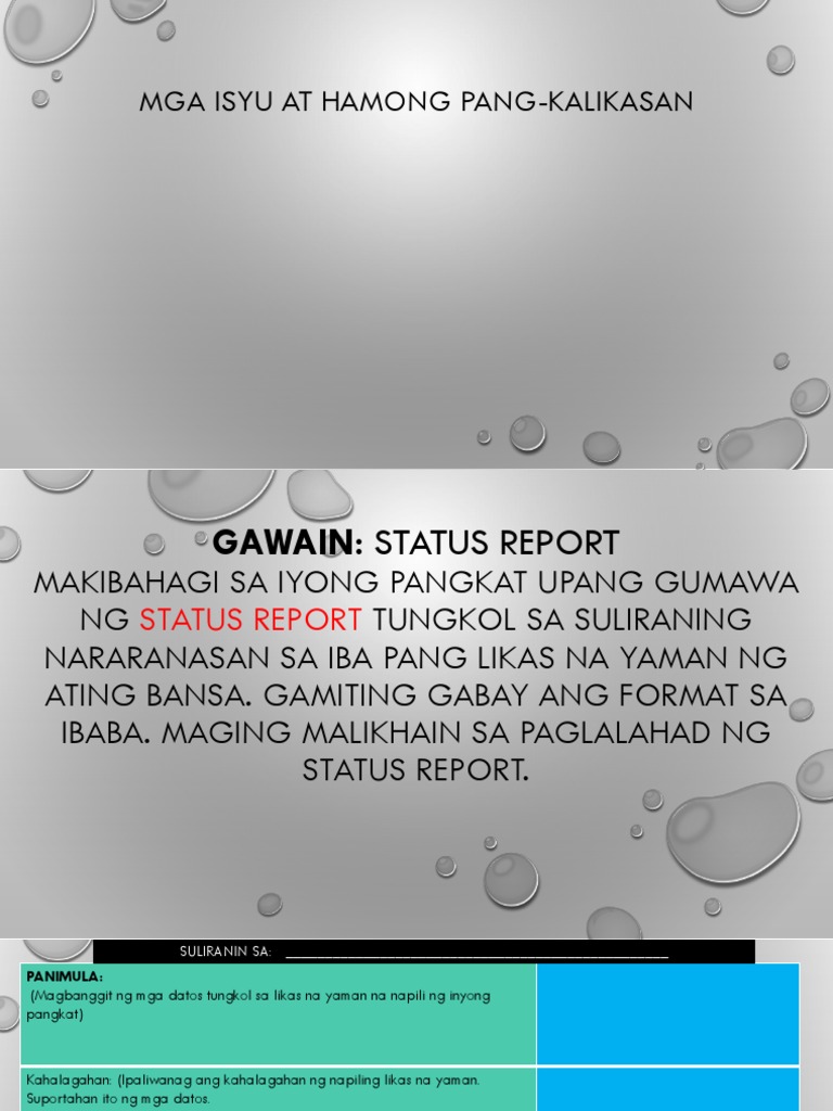 Status Report | PDF