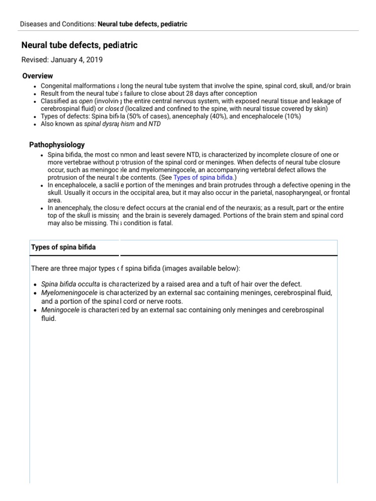 Neural Tube Defect | PDF | Surgery | Nervous System