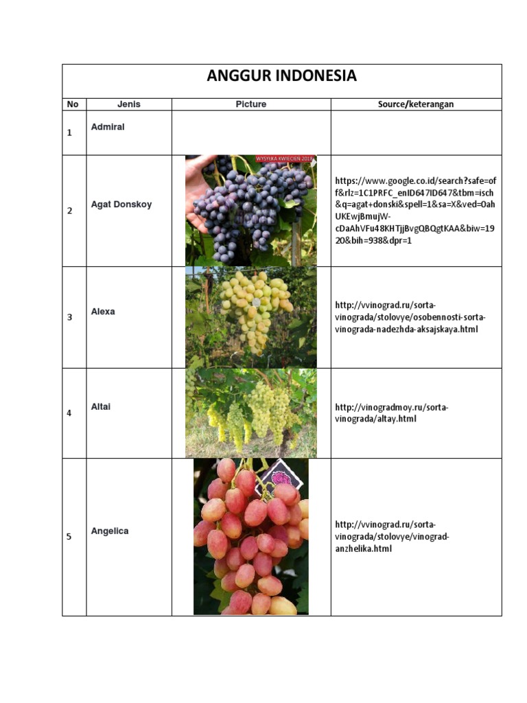 Vine PDF | PDF