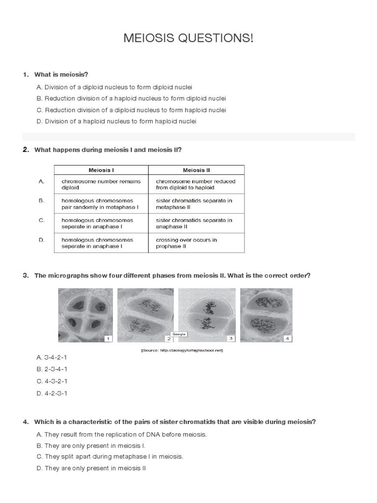 Meiosis Questions and Answers Guide | PDF | Social Science