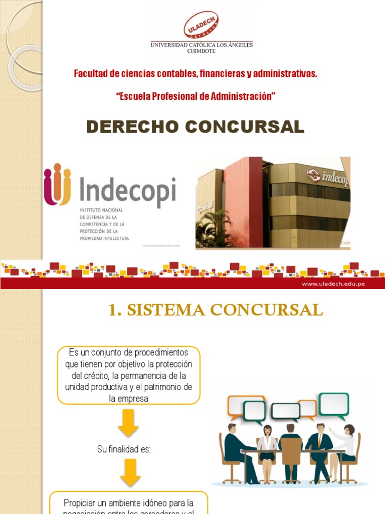 Derecho Concursal Exposicion Final | PDF | Economias | Justicia