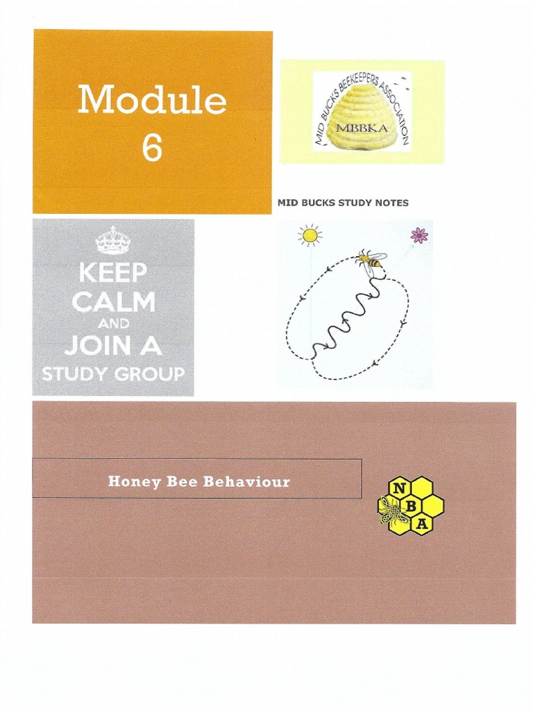 2019-09-02 Module 6 Honeybee Behaviour Mid Bucks Study Notes | PDF