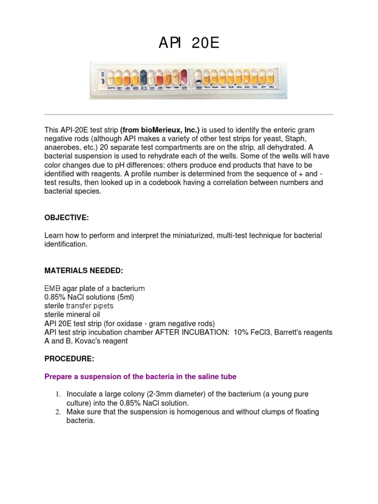 Api 20e | PDF | Bacteria | Chemistry