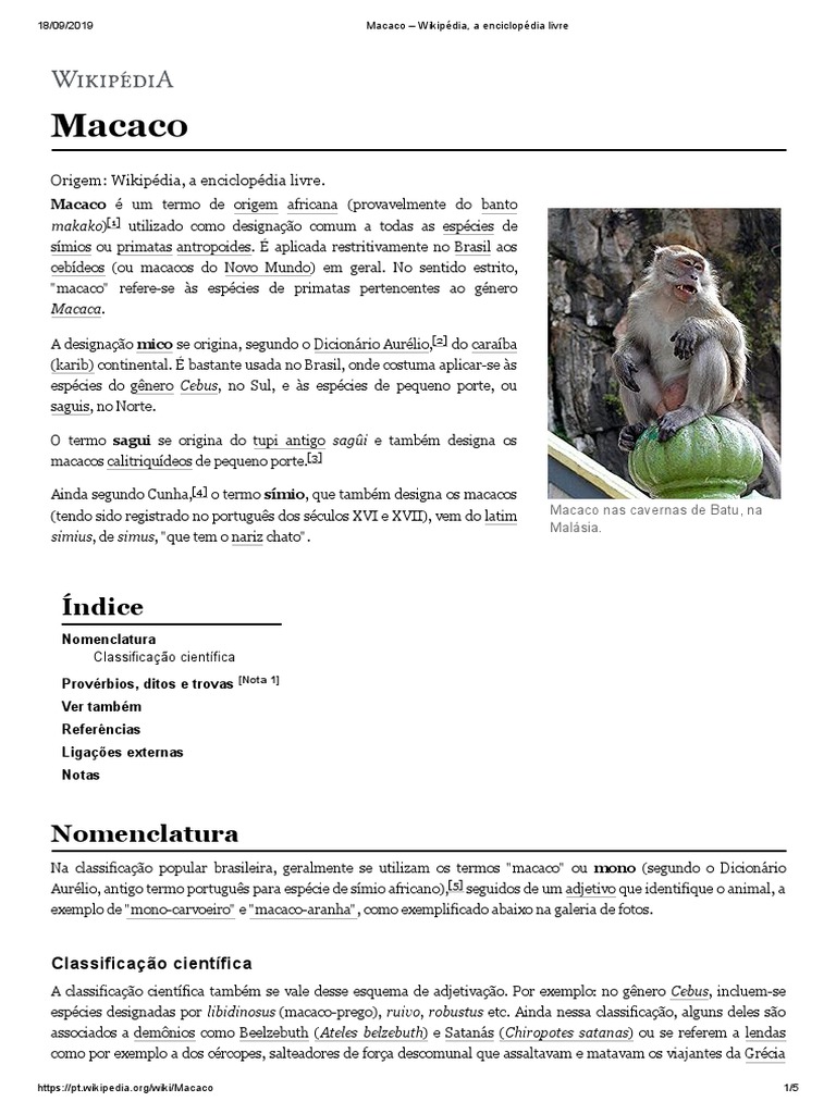 Macaco | PDF | Macaco | Taxonomia dos mamíferos