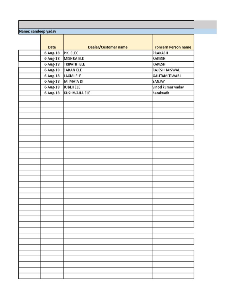Daily Visit Report Format | PDF