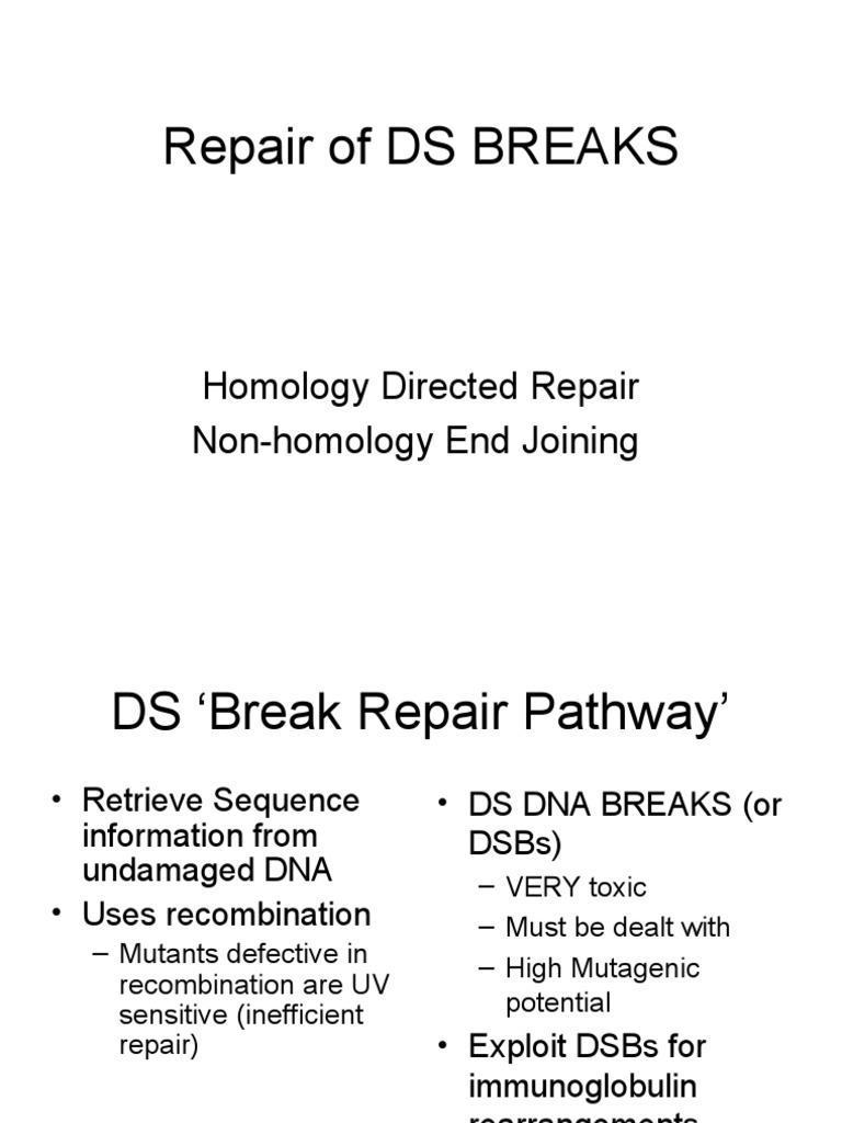 Repair of DS BREAKS: Homology Directed Repair Non-Homology End Joining ...