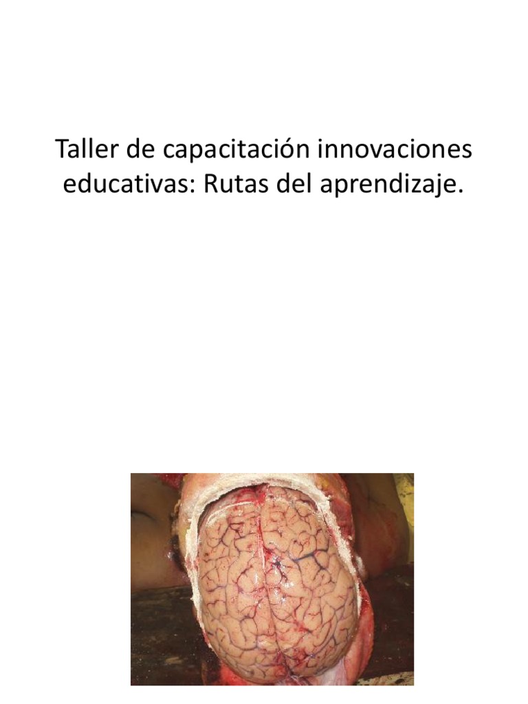 Presentación Sistema Curricular Rutas De Aprendizaje Pdf Plan De