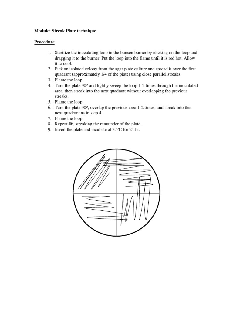 Streak Plate Instructions PDF | PDF | Cooking, Food & Wine | Home & Garden