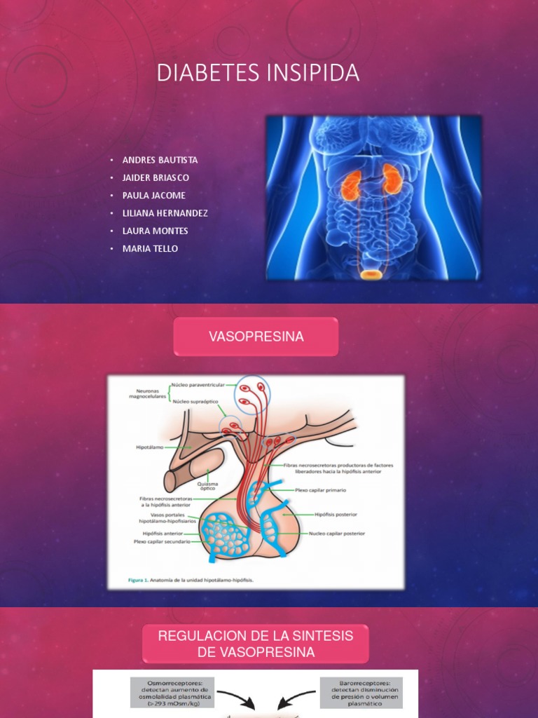 Diabetes Insipida | PDF
