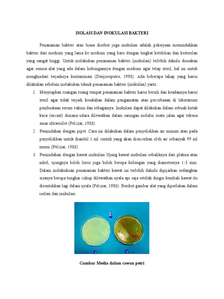Materi Isolasi Dan Inokulasi Bakteri | PDF | Sains & Matematika